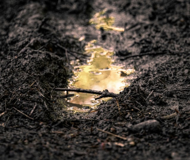 Contaminated soil worker’s examination - KLM Health Services