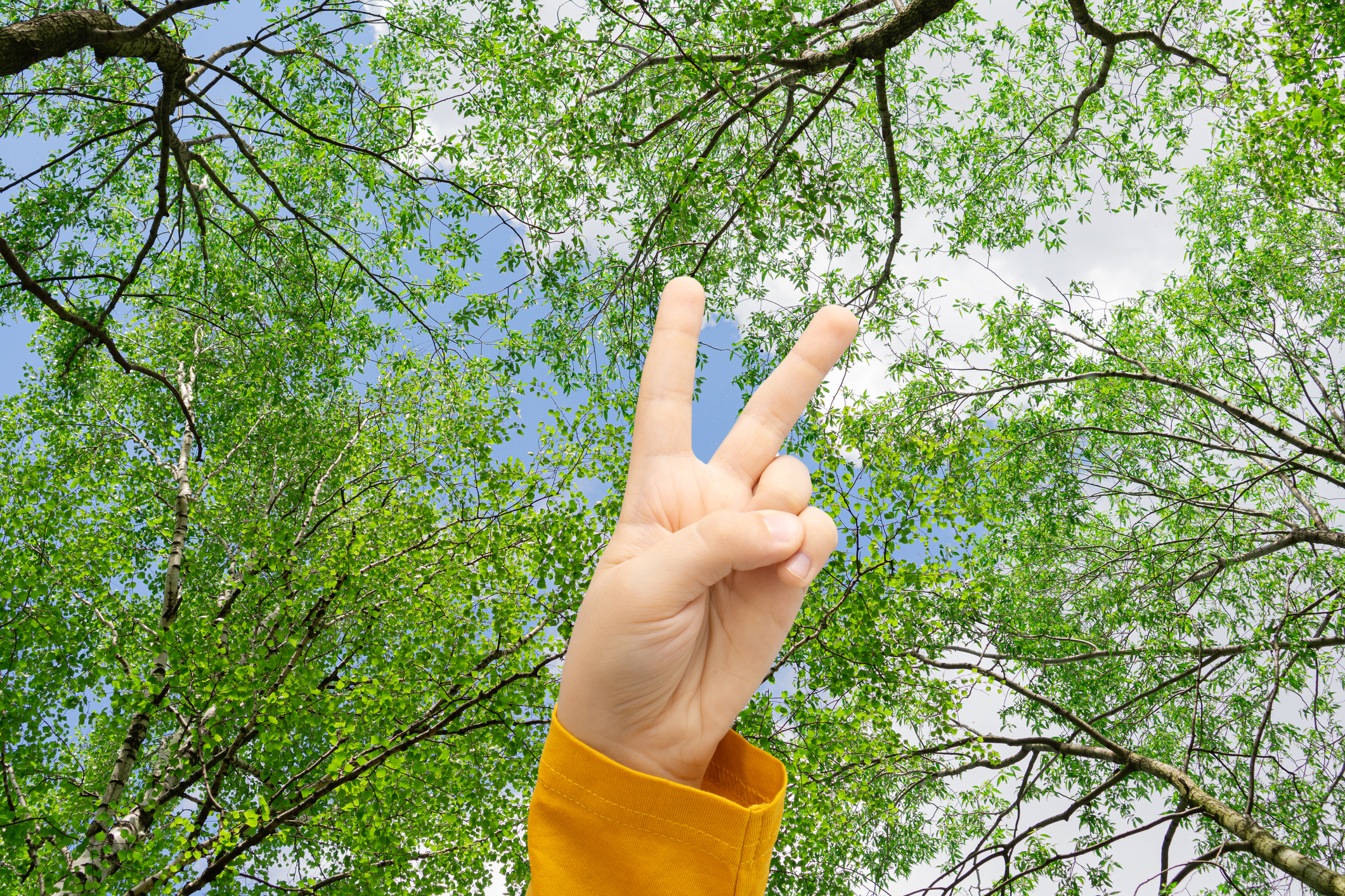Urban Hand Signs Meaning The Gen Z Heart Hand Gesture: What It Means