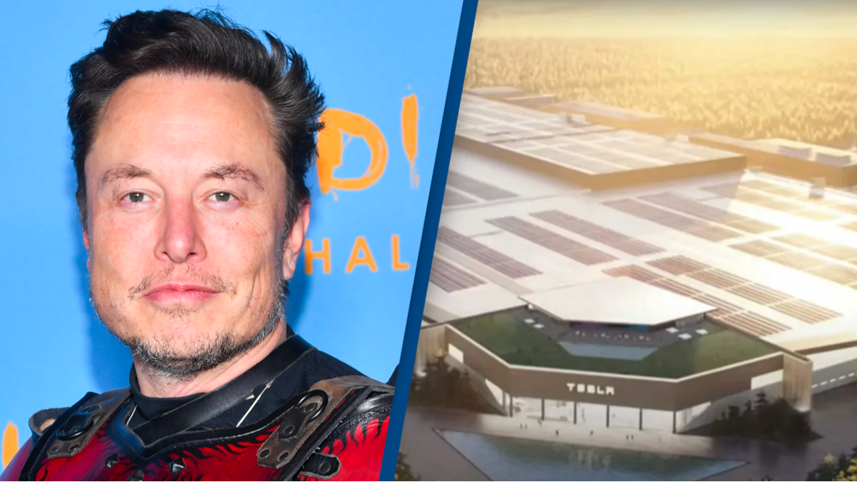 Elon Musk is 'behaving like the local drunk: Ex-Twitter president ...