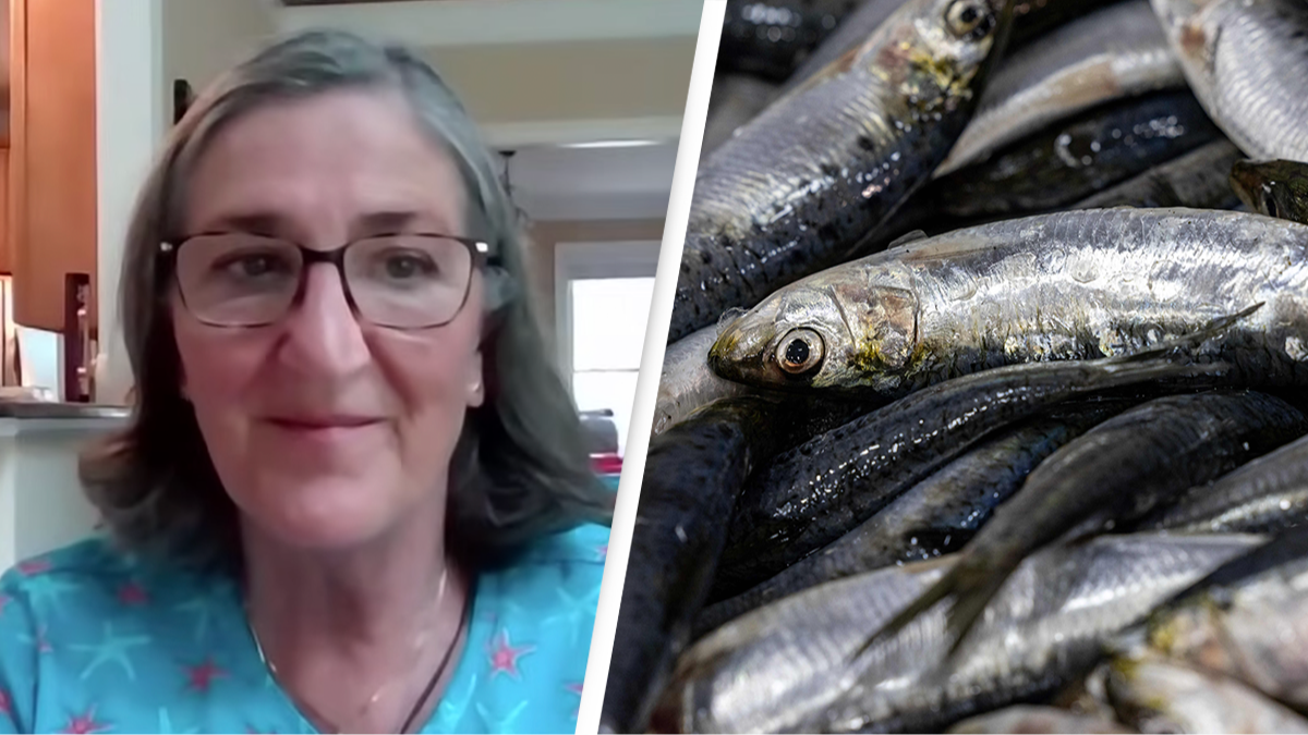 Amber Fries's Instagram, Twitter & Facebook on IDCrawl