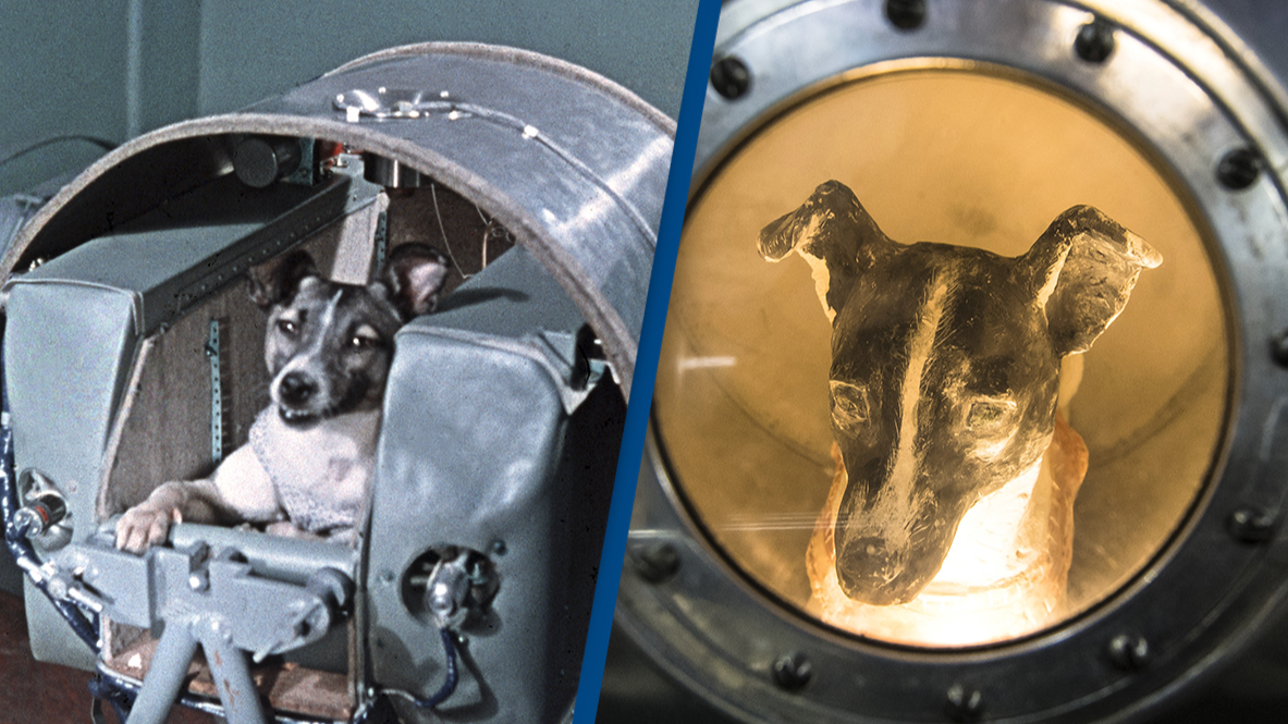First Dog In Space Russia