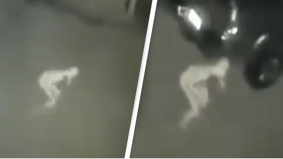 Security Footage Captures Mysterious Pale Creature | Flipboard
