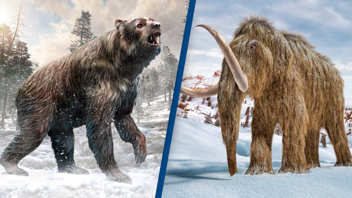 Ice Age Animals Ice Age Extinctions: What Happened?