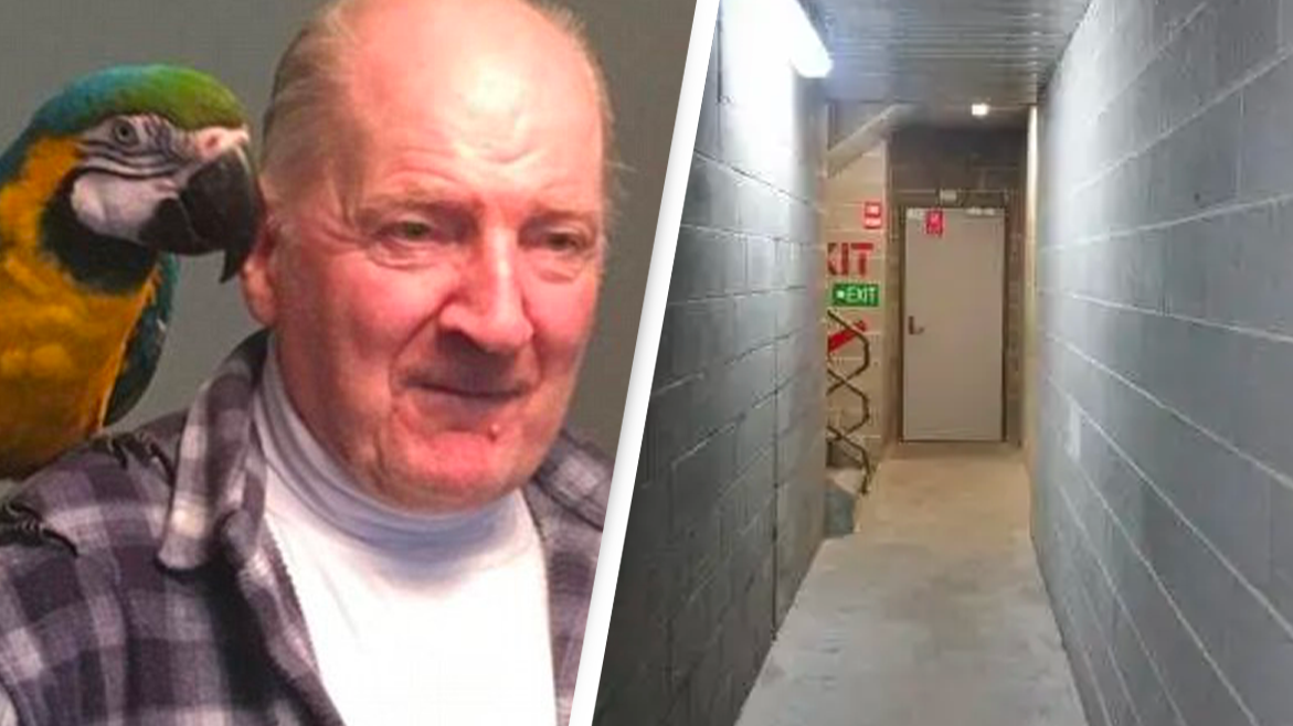 Paul Hoyer's Instagram, Twitter & Facebook on IDCrawl