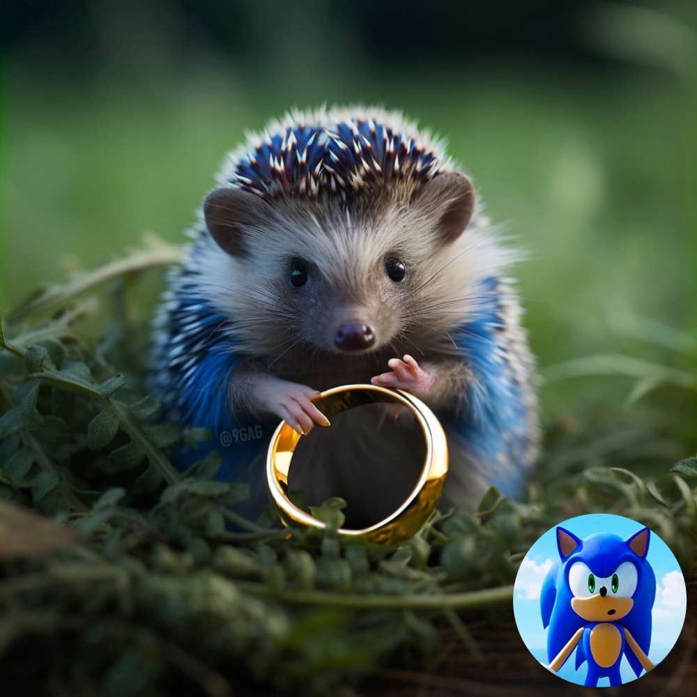 Sonic The Hedgehog In Real Life