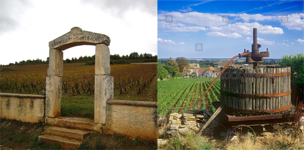 How we design a map for Block Star Party