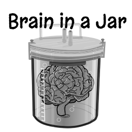 Brain in a Jar 1: Two Systems