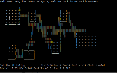The story behind NetHack 's long-awaited update--the first since