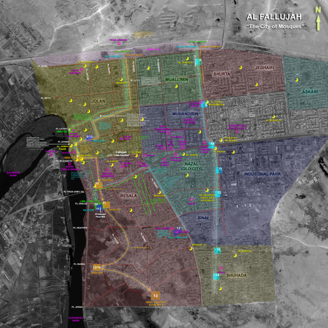 Six Days in Fallujah's Campaign