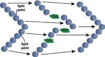 Implementing Coordinated Movement