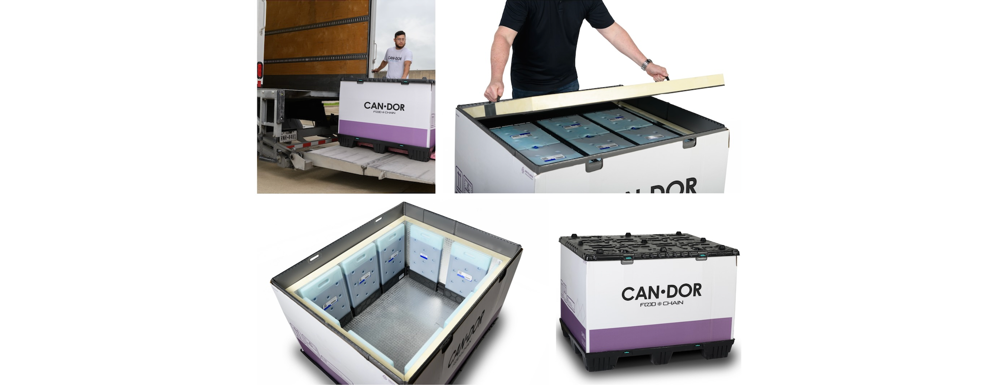 Candor Food Chain Rolls Out Cool Tech for Food Packagers, Shippers