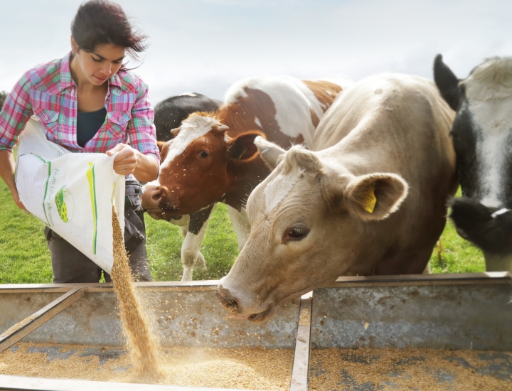 This Player in Paper Packaging Is Not Playing