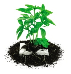 Creativity with Cardboard