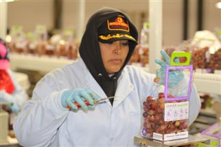 Could new cube packaging reinvent produce marketing?