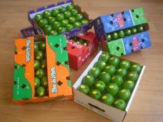 Pick and Place Technology for Fragile Fresh Fruit