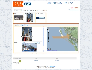 Thisfish coding system maps seafood path from catch to consumer