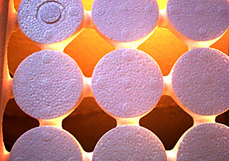 Wal-Mart Canada Launches Polystyrene Recycling Program