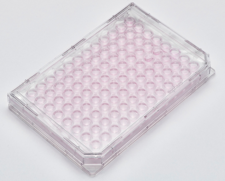 Biotech Firm Invents Always-Upright Shipping Container