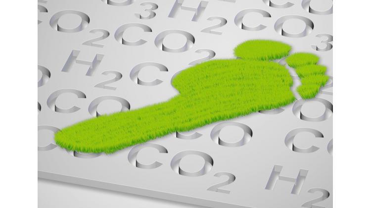 Molson Coors shrinks plastic packaging’s Beer Print