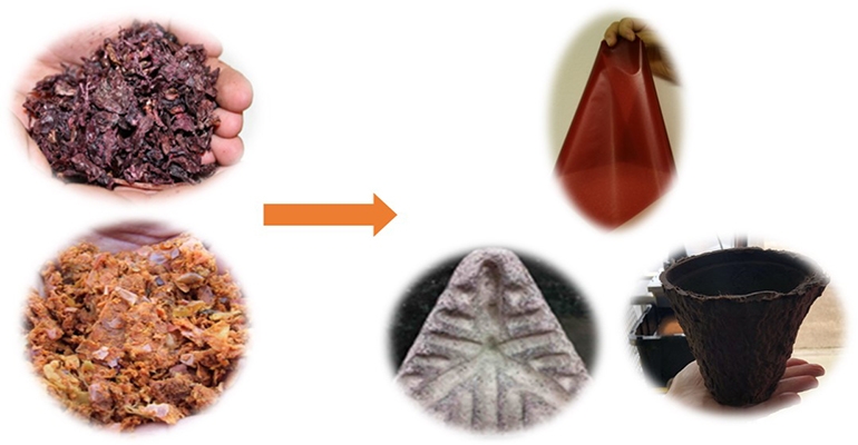 Sustainable Food Packaging Made from Pomace