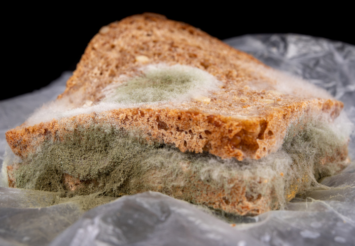 What is Flexible Packaging? Benefits, Trends & Sustainability