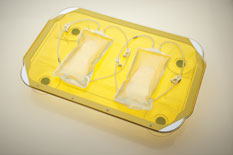 Protective pack for biopharmaceutical bags