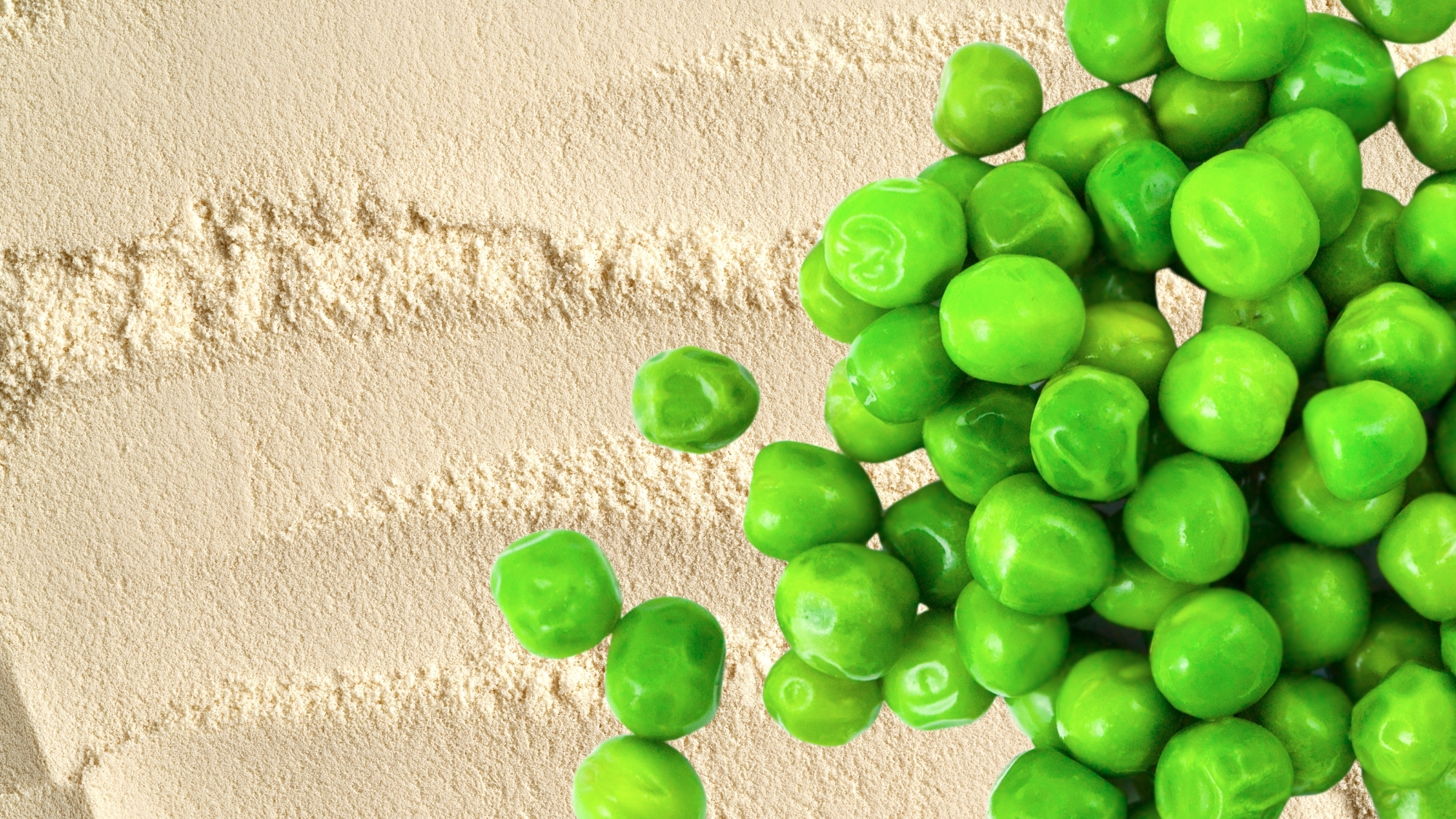 Plaintiff Challenges Pea Protein Claims