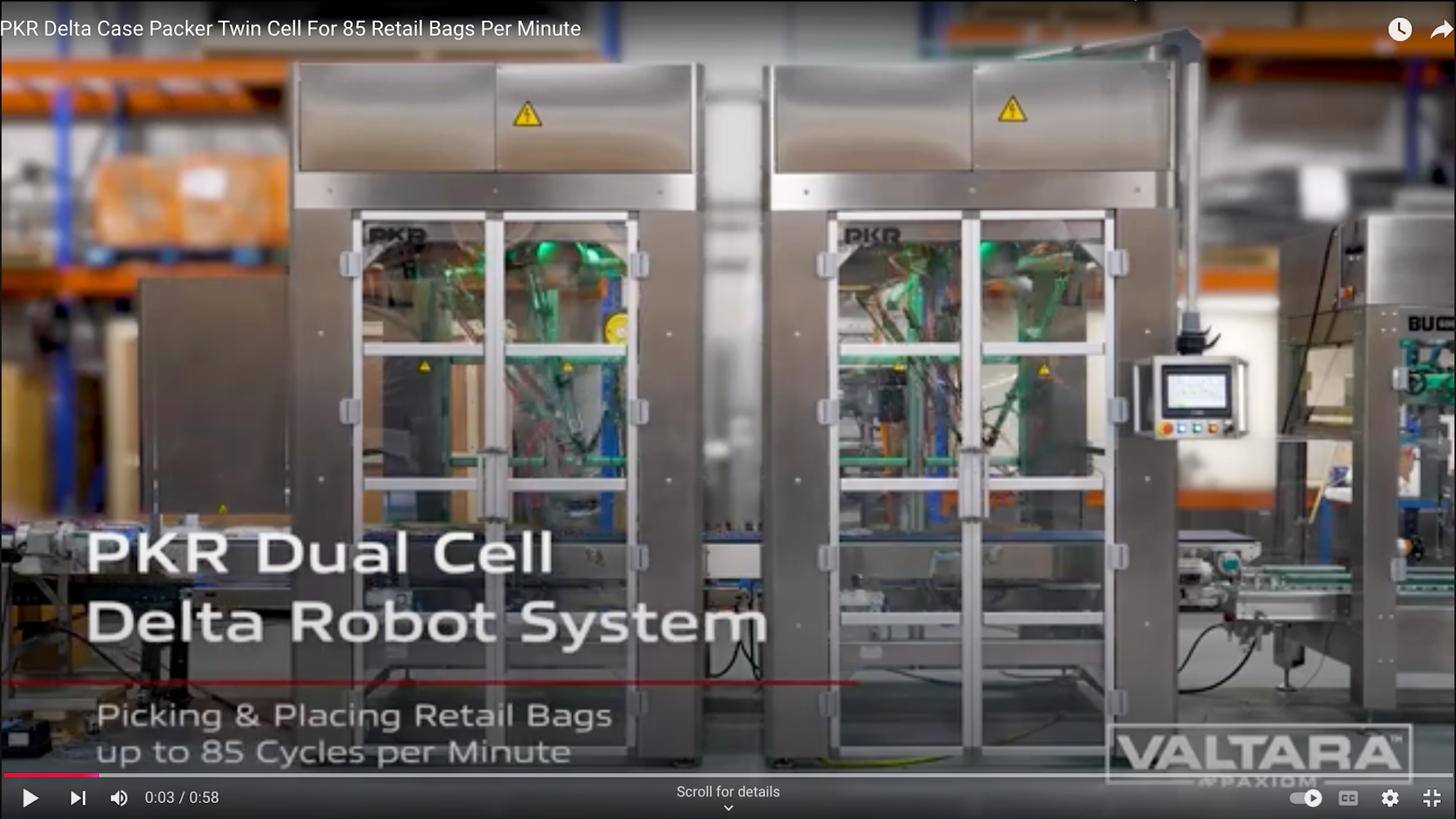 GS1 DataMatrix: FNC1 versus GS as the Variable-Length Field Separator