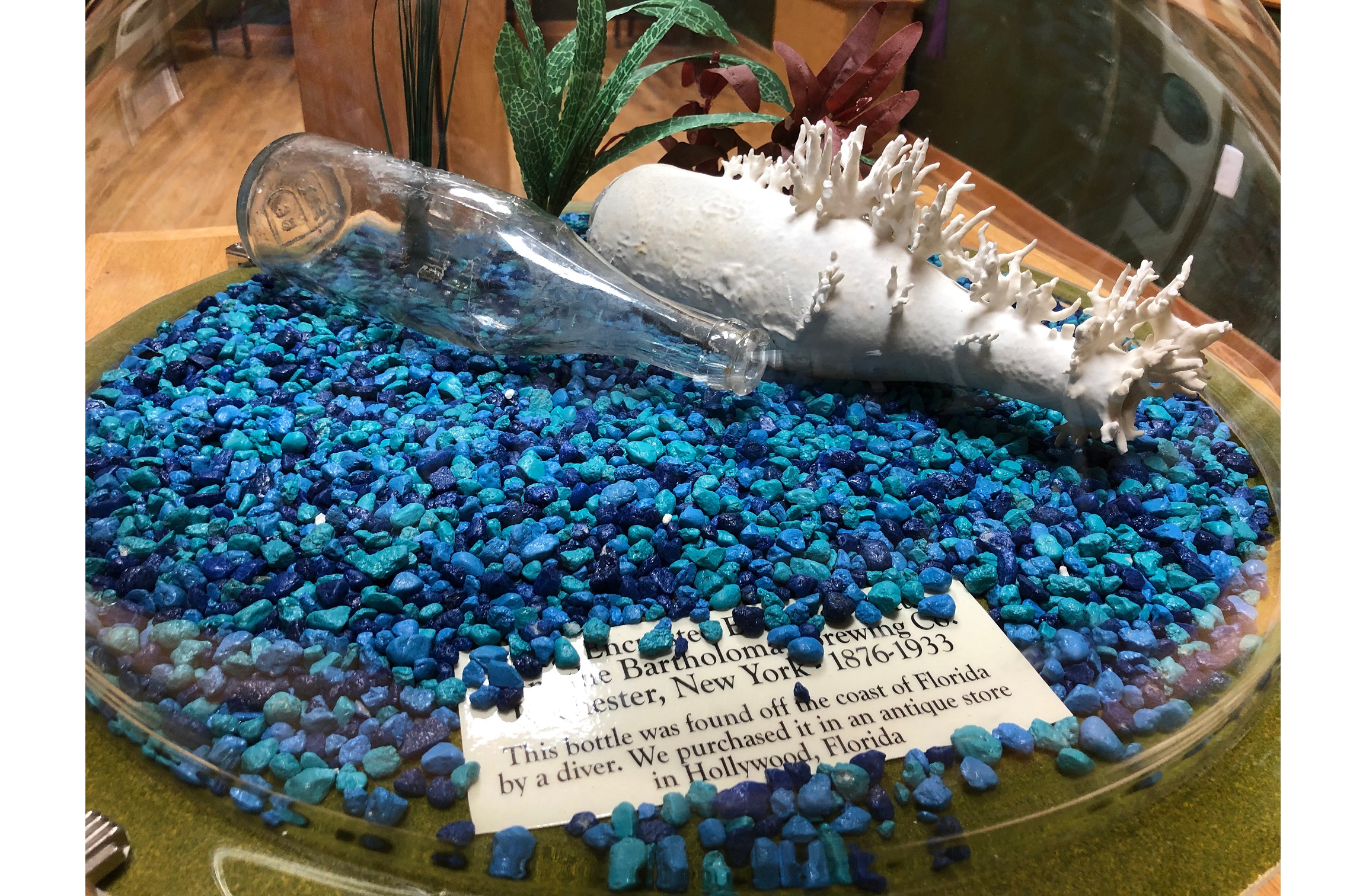 Freaky Fridays: Nature’s artistic beer bottle