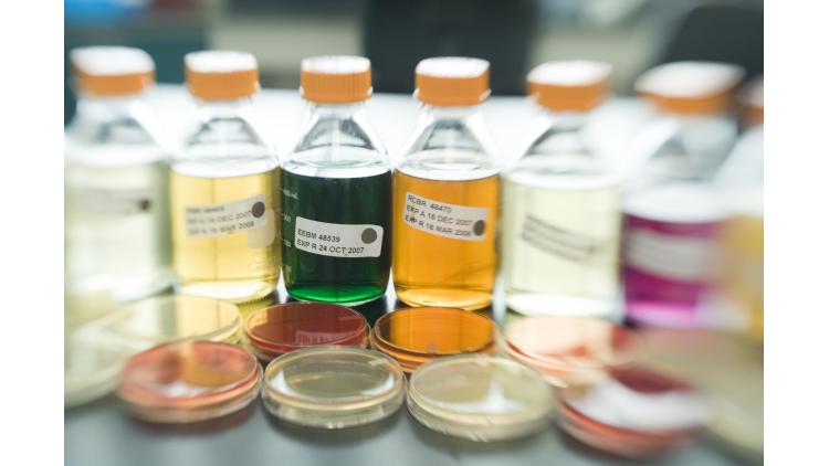 Packaging ‘basics’ popular with healthcare professionals