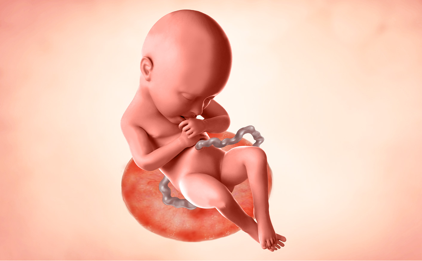 36 Weeks Baby In Womb