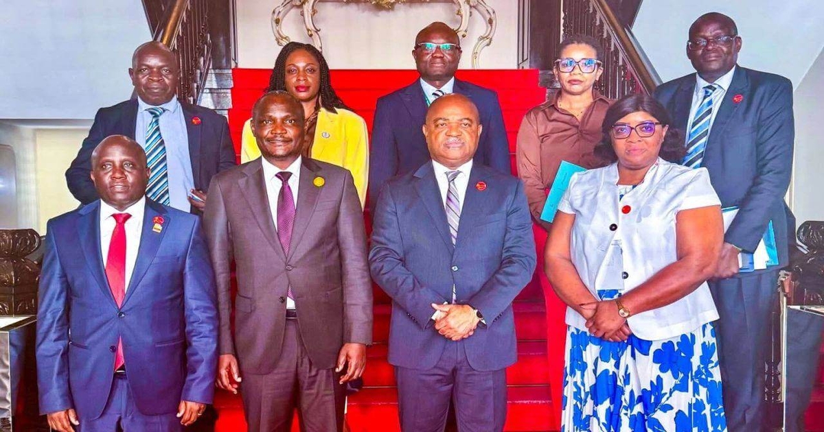 Angola, Kenya partner to strengthen ICT