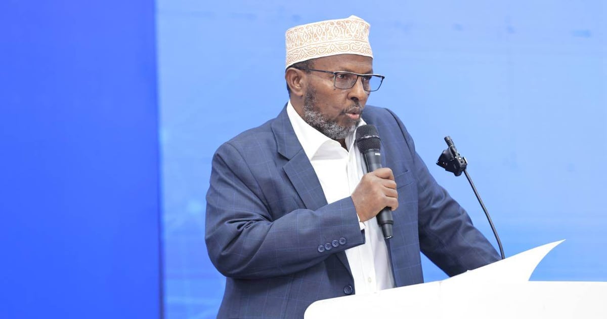 Hormuud Telecom integrates mobile money with Somali banks