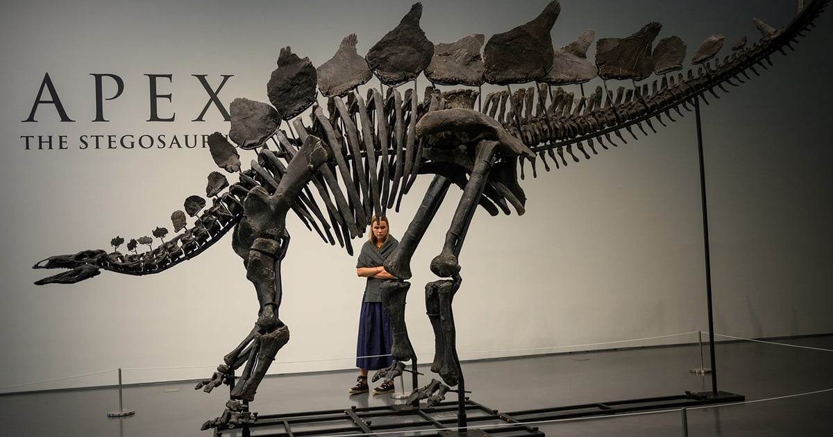 How Market Forces Came for the Dinosaurs
