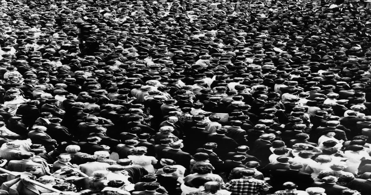 The Power of Crowds