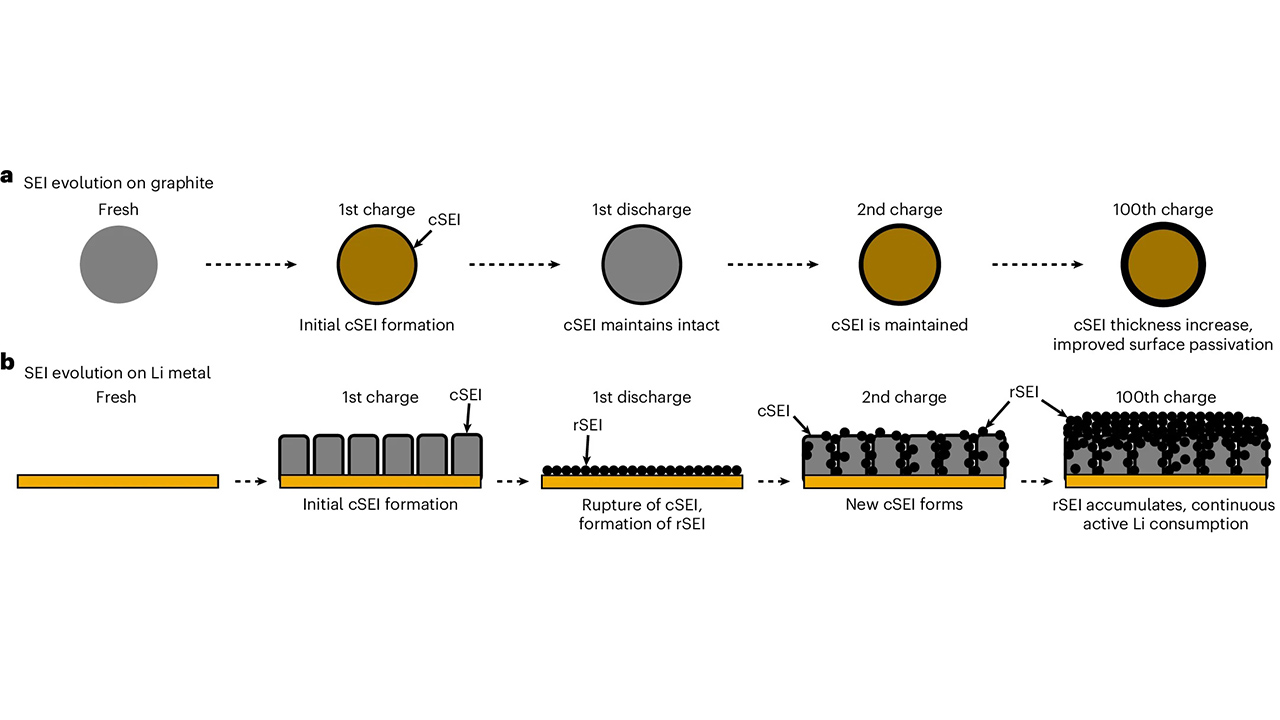 Graphite Anodes For Lithium-Ion Batteries