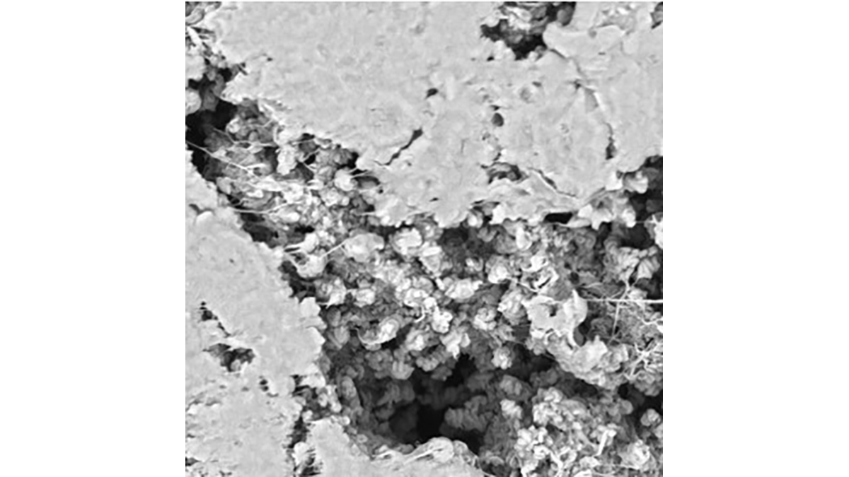 Enhancing EV Safety: Membrane Technology Against Rising Waters