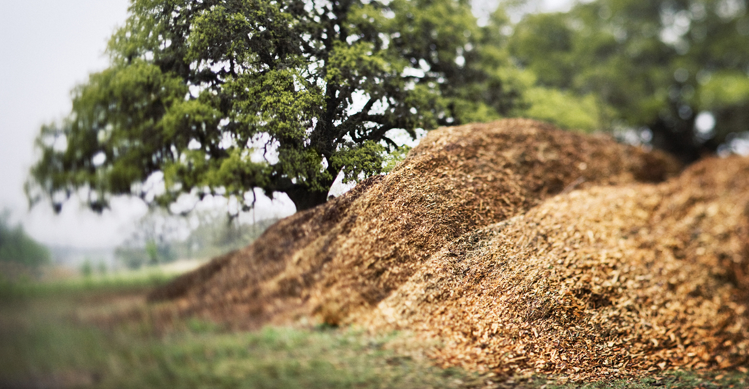 CarbonScape Renewable Biographite Anode Material Ready to Scale