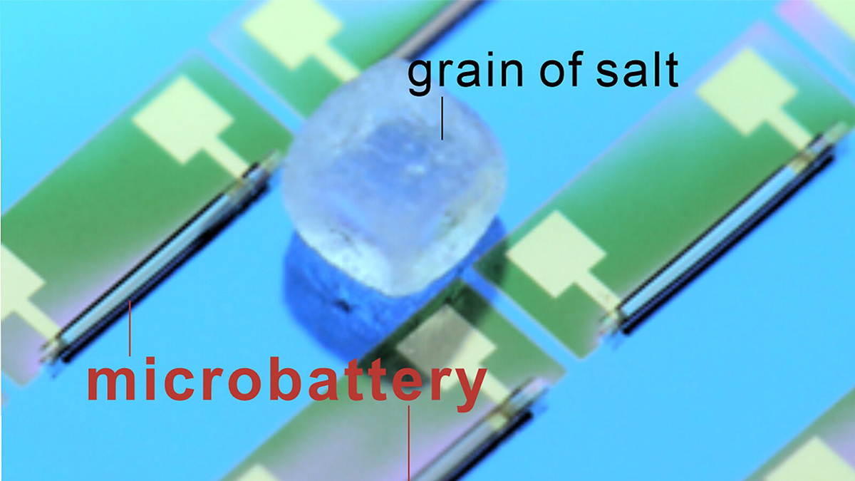 8 Fun Battery Facts You Probably Didn’t Know