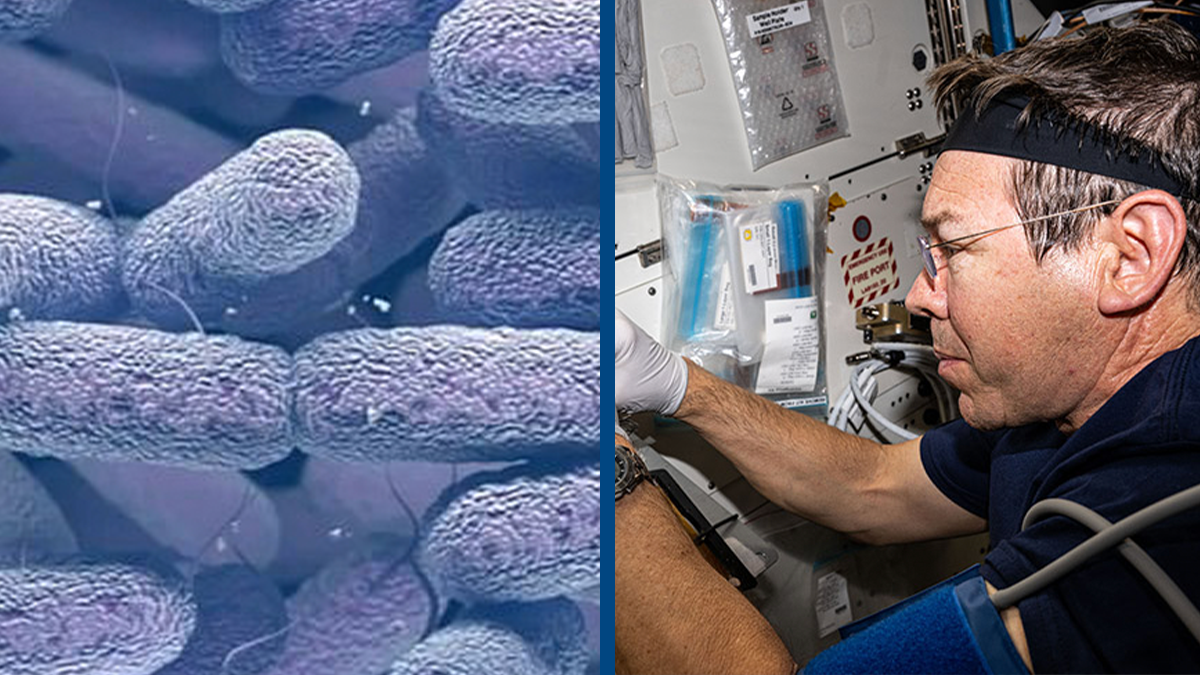 Bacteria From Outer Space Found On Space Station