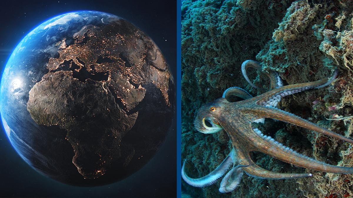 after earth creatures