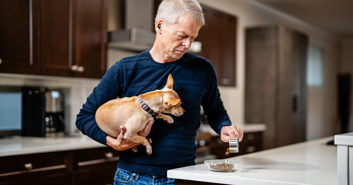 Pet food startup seeks to normalise insect protein