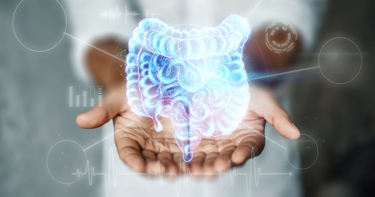 A fresh look at ingredients for the gut-brain axis