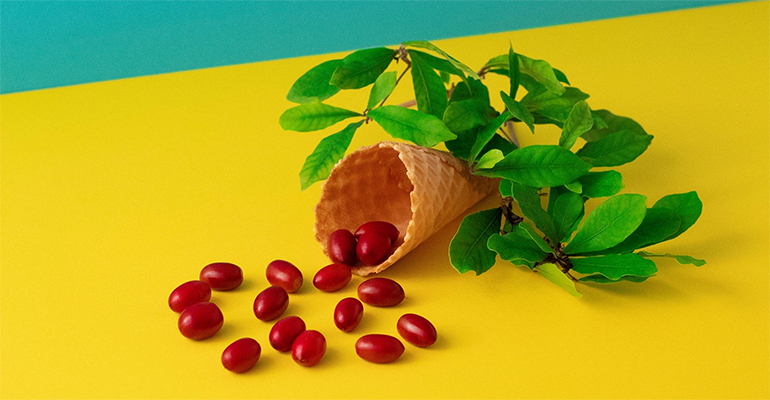 Precision fermentation is producing ‘next-generation’ protein sweeteners