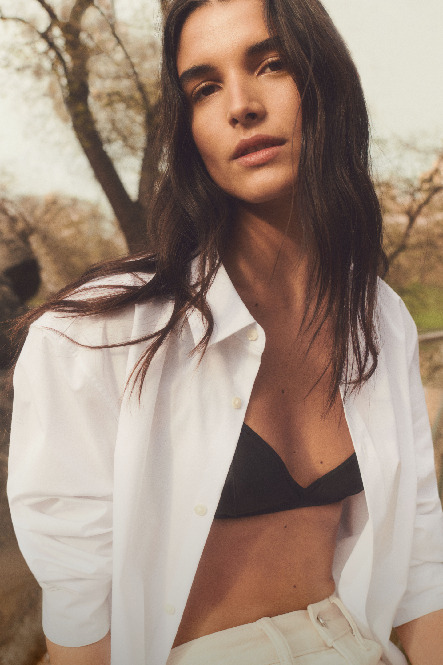 Calvin Klein® CZ Official Web Store - Up to 50% Off