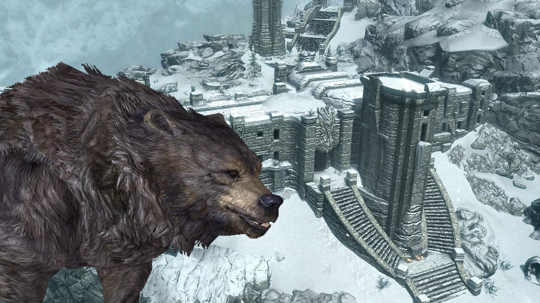 Bearradh Skyrim