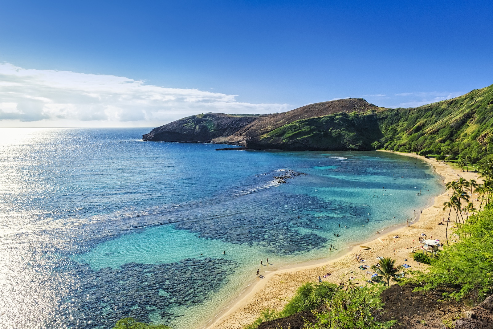 Lush greenery and stunning scenery of Oahu, Hawaii, highlighting the ...
