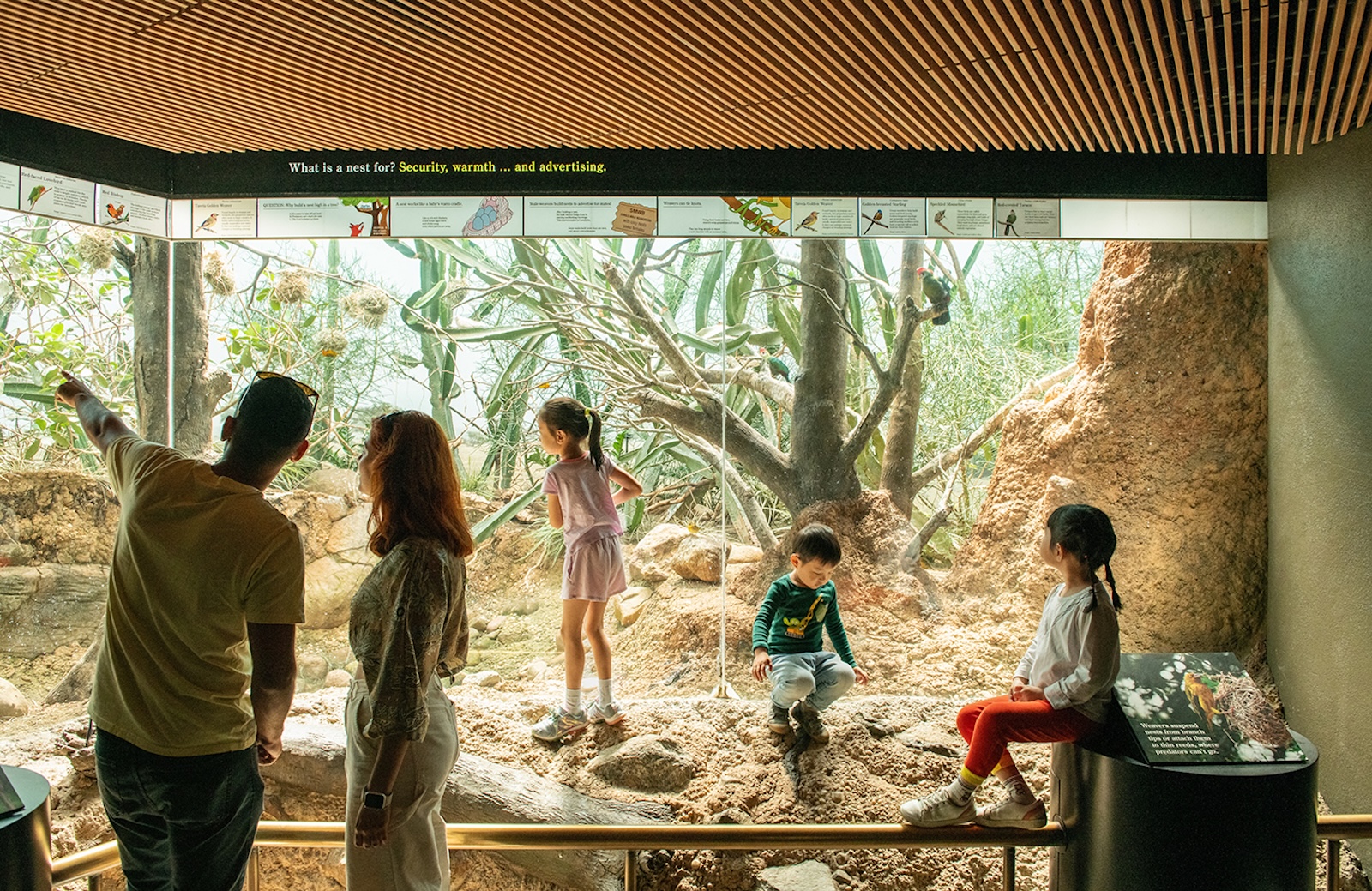 A family observes an exhibit at the Bronx Zoo, engaging with the ...