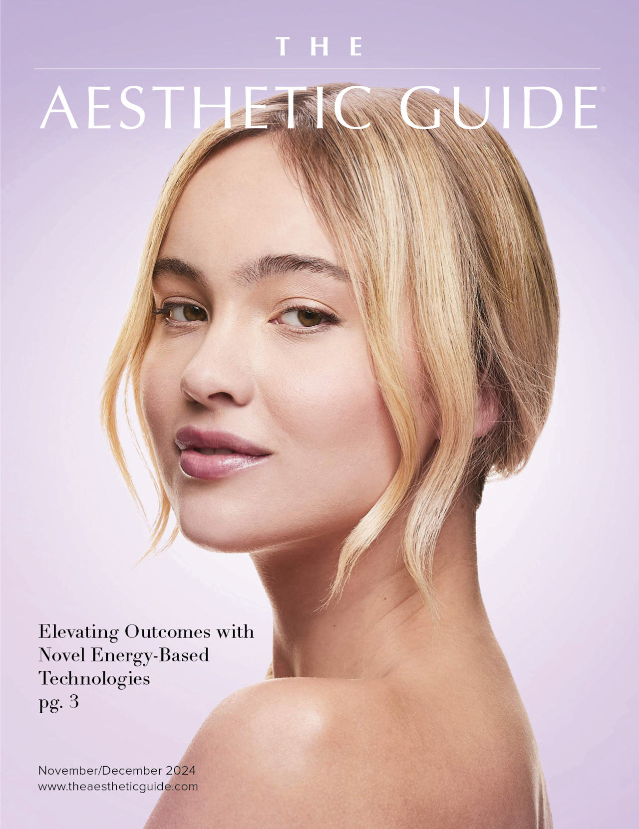 The Aesthetic Guide
