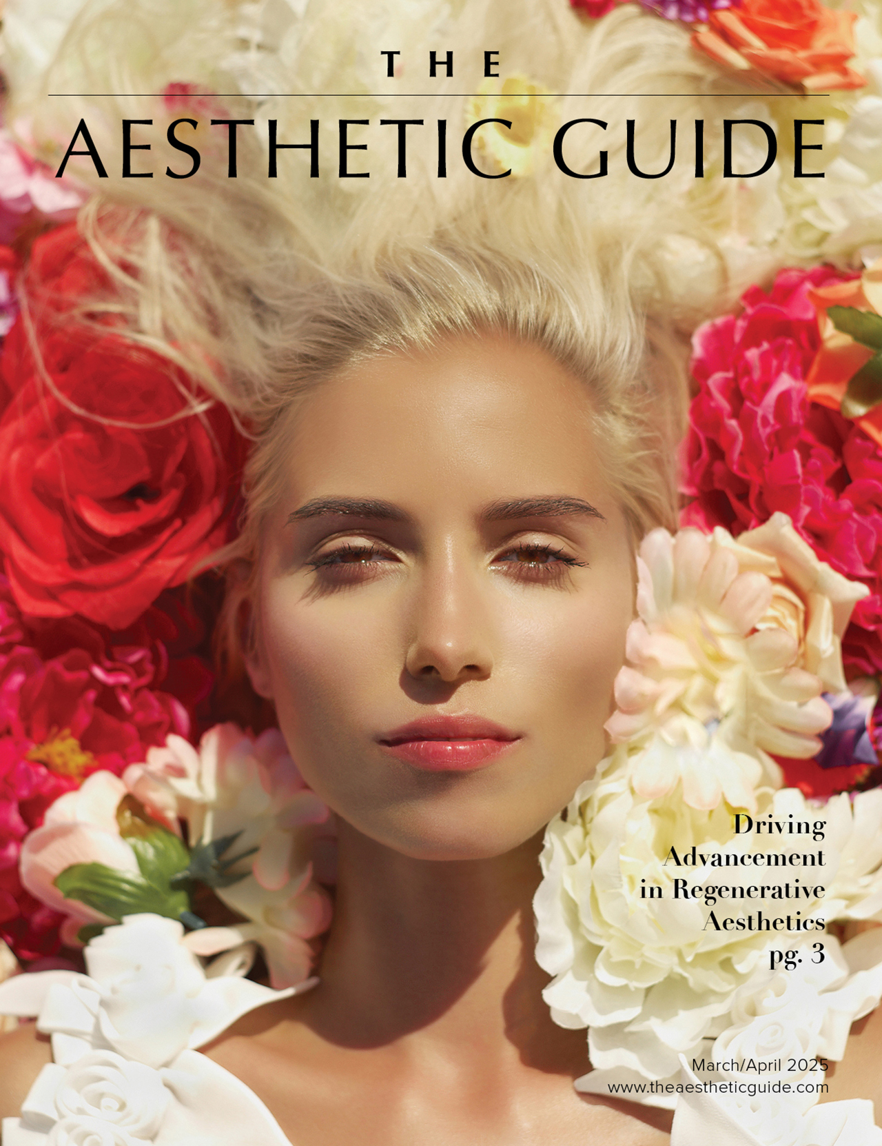 The Aesthetic Guide